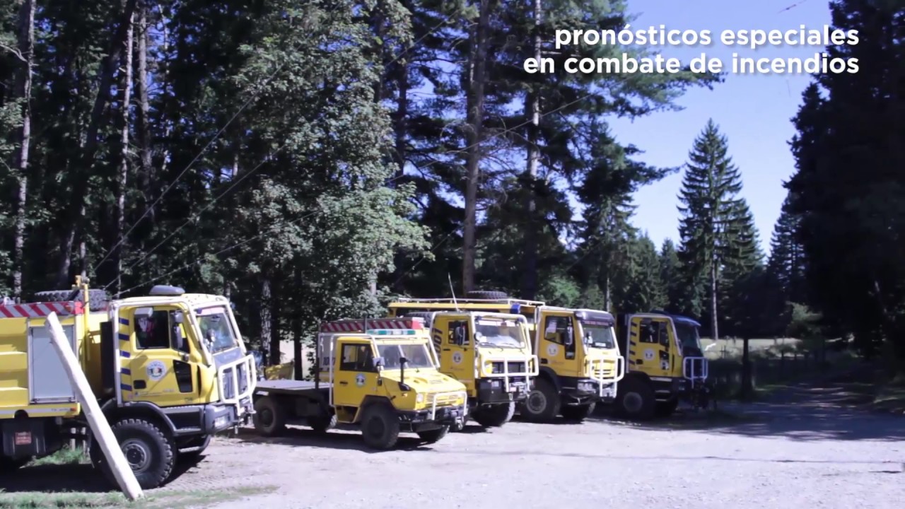 Así trabaja el SNMF - YouTube