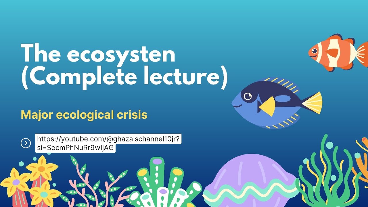 The Ecosystem||Major Ecological crisis[Complete lecture]2024 - YouTube