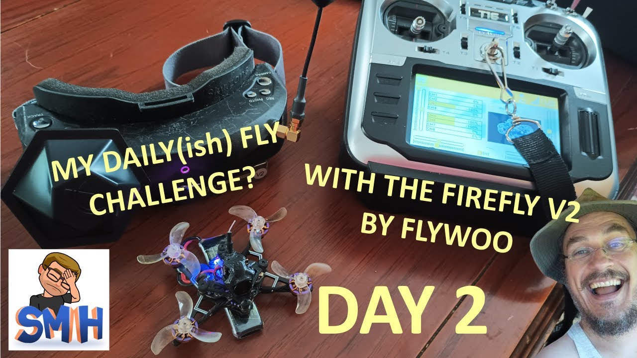 Fly-A-Day What Happened on Day2: Summary - YouTube