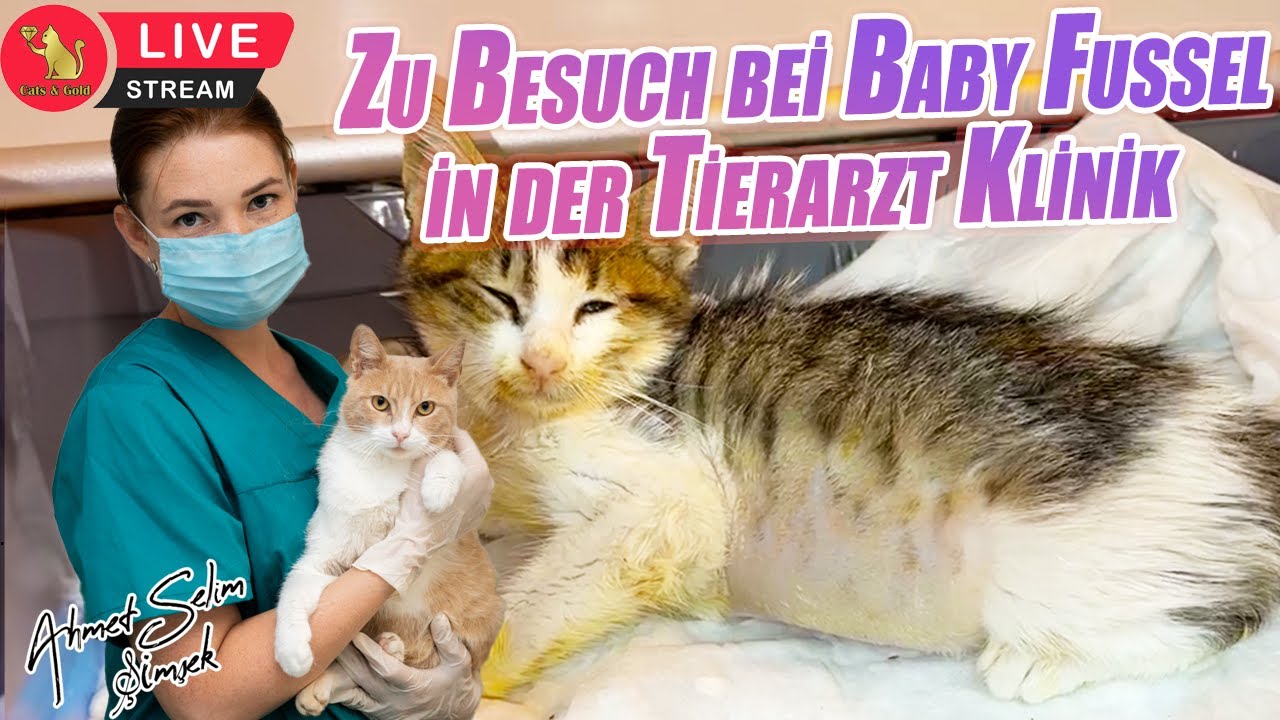 Zu Besuch bei Baby Fussel in der Tierarzt Klinik. - YouTube