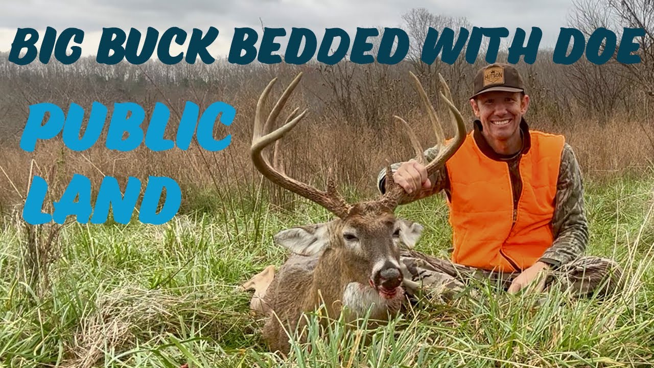 FINDING BIG PUBLIC LAND BUCK IN THICK BEDDING AREA - YouTube