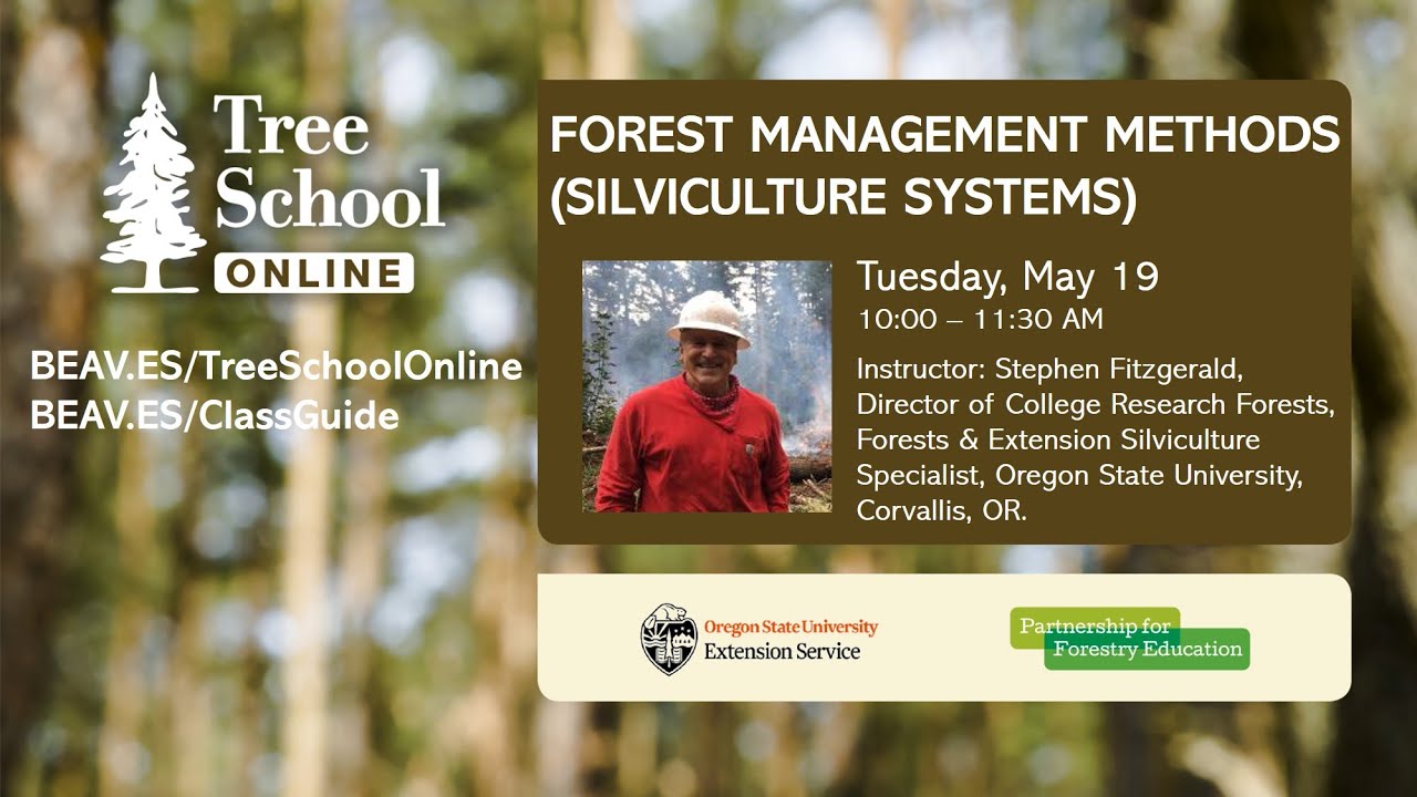 Tree School Online: Forest Management Methods - YouTube