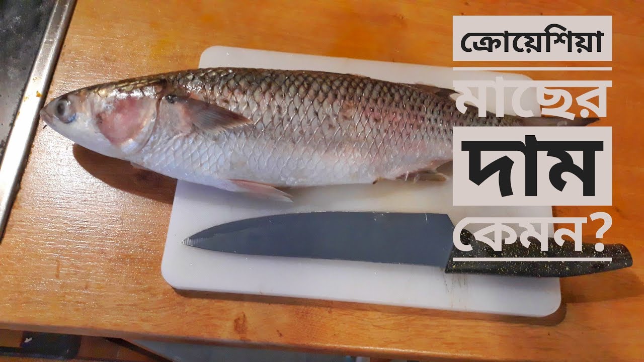ক্রোয়েশিয়া মাছের দাম কেমন? Fish price in croatia. Maser Dam Kamon ...