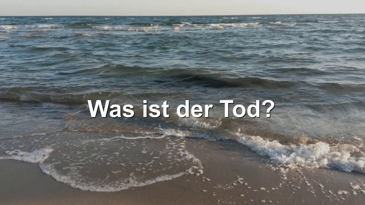 Tod - YouTube