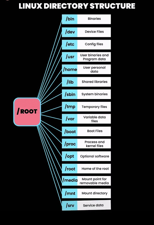 Linux Directory Structure #python #linux_tutorial - YouTube