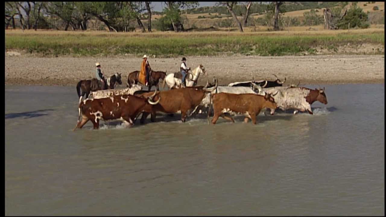 Dakota Pathways: Cowboys of the Open Range - YouTube