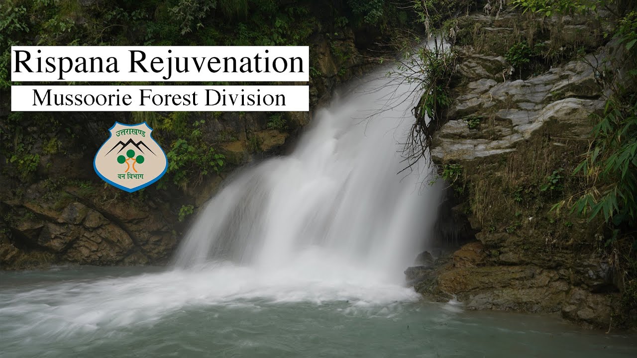 Rispana Rejuvenation | Rispana River | Dehradun | Mussoorie | Mussoorie ...