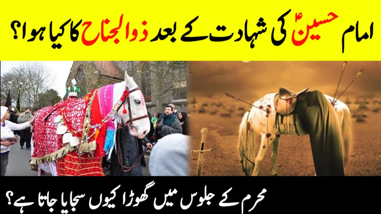 Zuljanah || Loyal Horse 🐎Of Imam Hussain AS || ذولجناح || Dhuljanah ...