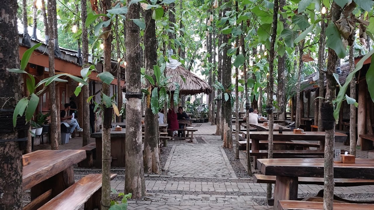 Berasa Lagi di Tengah Hutan, Cafe di Tangerang Selatan Berikan Suasana ...