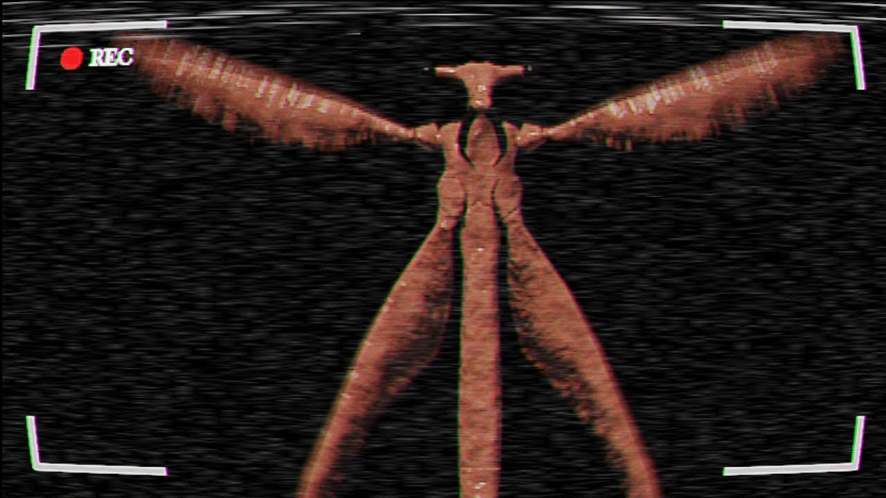 The Qu - All Tomorrows 3D - YouTube