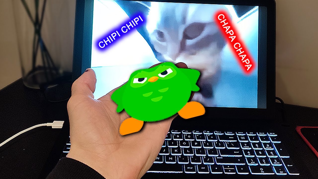Mini Duolingo takes over the screen! Unable to watch CHIPI CHIPI CHAPA ...