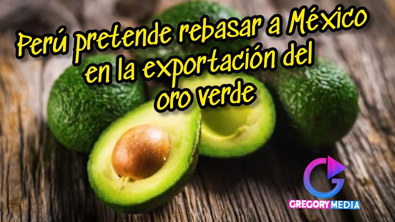 Perú pretende rebasar a México en la exportación del oro verde - YouTube