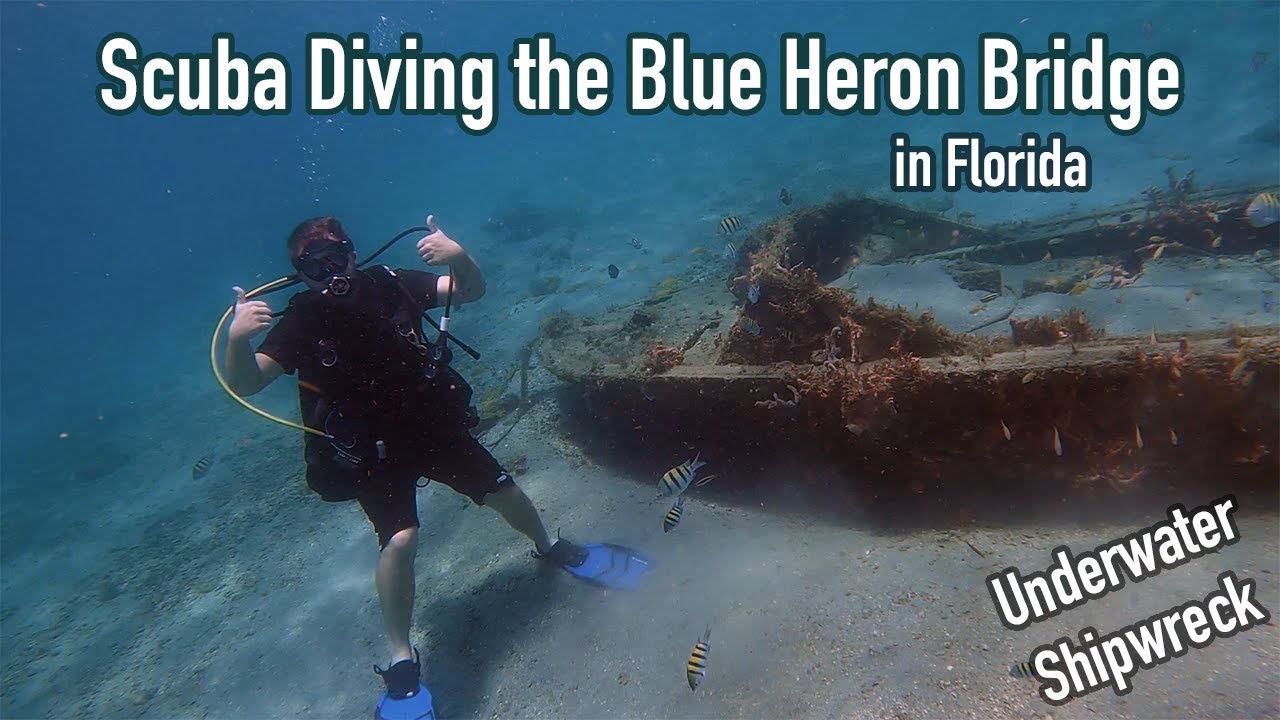 Scuba Diving the Blue Heron Bridge - Riviera Beach FL - YouTube