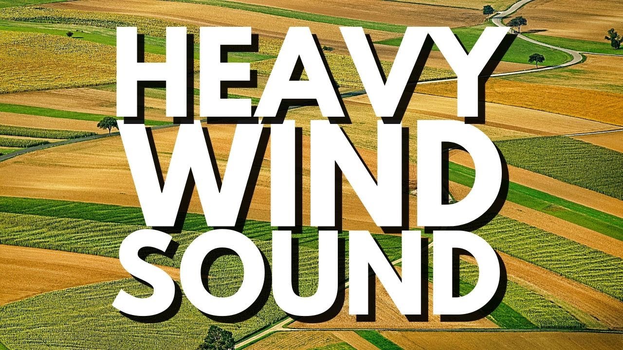 1 HOUR OF THE SOUND OF HEAVY WIND WHITE NOISE - Sleep, Study, Relax ...