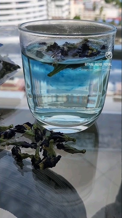 Чай из мотылькового горошка "Синий чай" Анчай 🍵🦋💙 #тайскаякосметика # ...