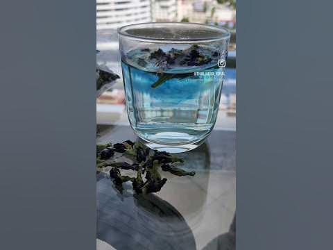 Чай из мотылькового горошка "Синий чай" Анчай 🍵🦋💙 #тайскаякосметика # ...