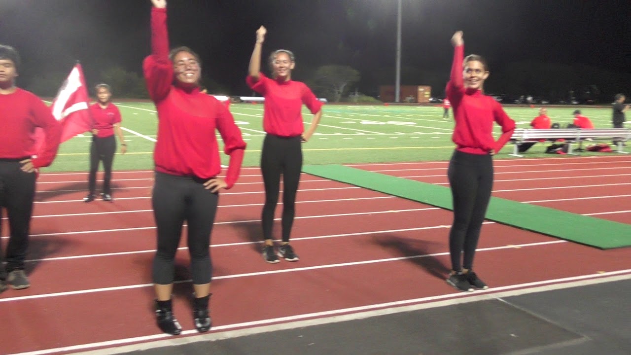 horse ground level - YouTube