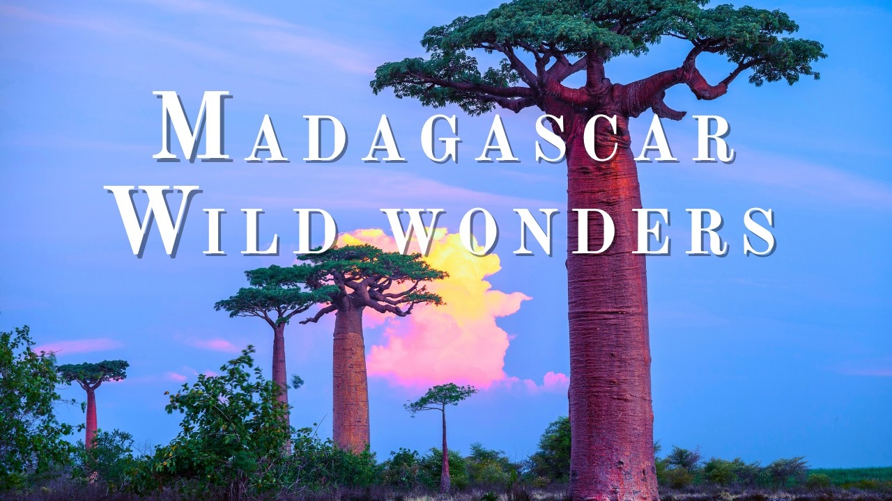 Madagascar Island: A Landscape of Wonders and Wildlife - YouTube