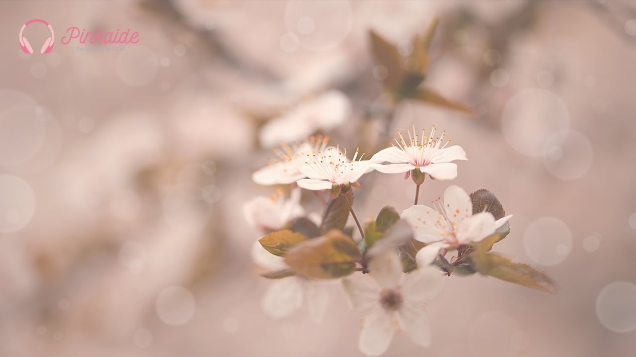 3 Hours Relaxing Piano🎵, Good Morning Music, Yoga Music, A warm spring ...