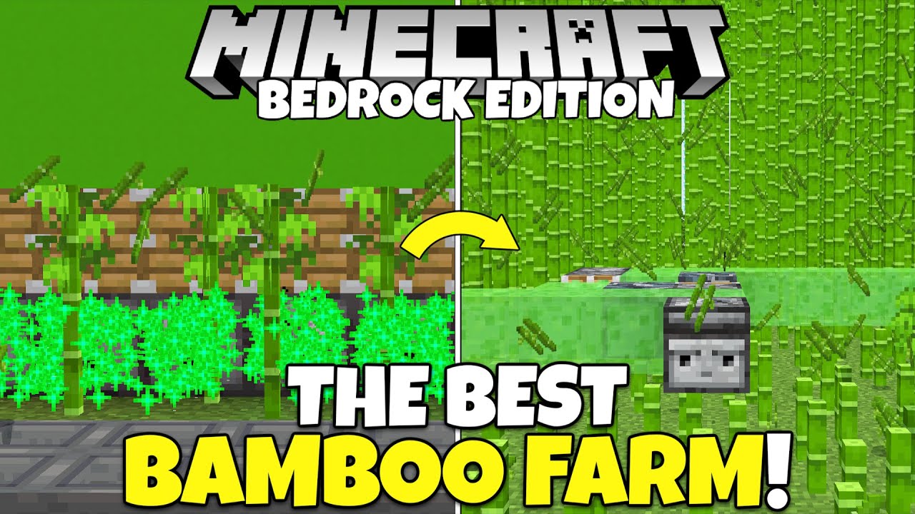 What Is The BEST BAMBOO Farm In Minecraft Bedrock Edition? (Easy Bamboo ...