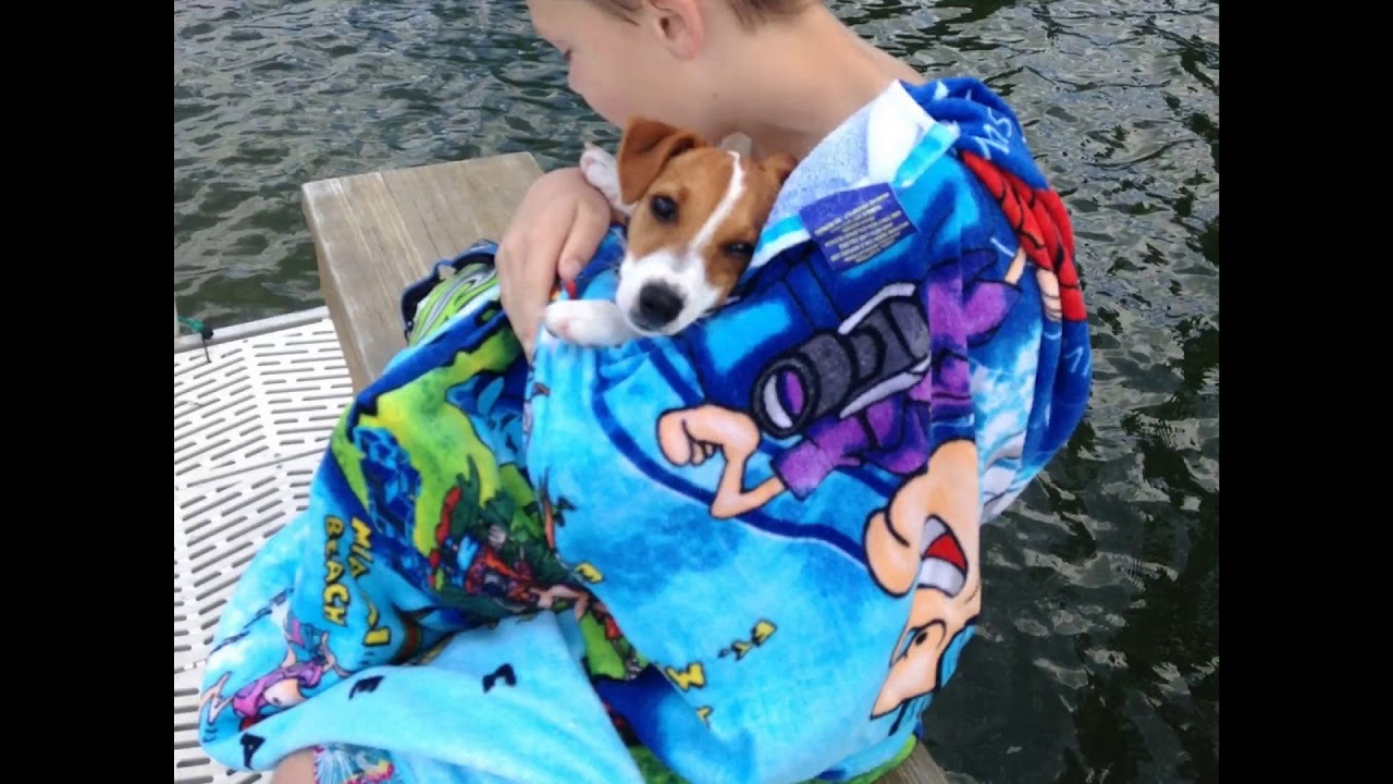 Apple Slideshow☺️ - YouTube