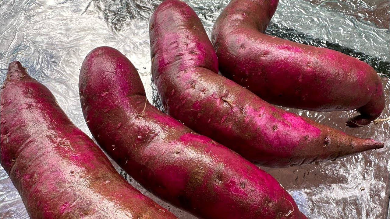 Harvest Purple Sweet Potatoes with Cute Ducks | 我的菜园和厨房｜Megan’s Garden ...