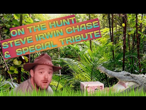 On The Hunt For The Elusive Chase Steve Irwin POP | Special Tribute To ...
