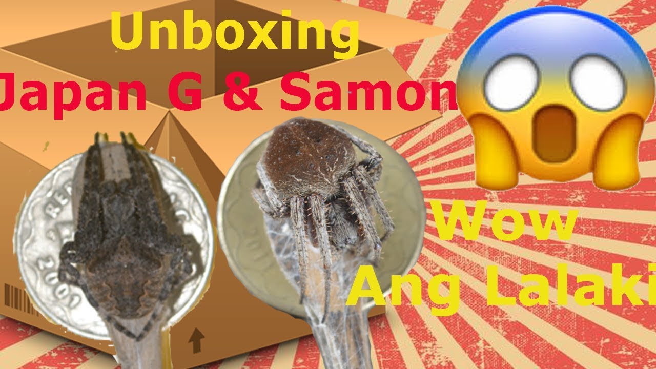 Unboxing Japan G & Samon Spiders from Re-seller - YouTube
