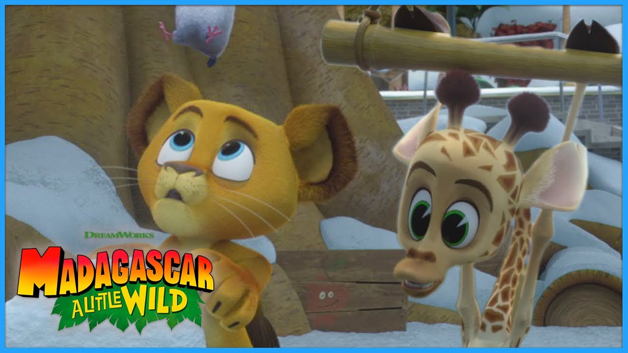 Melman the Doctor! 🦒 🏥 | DreamWorks Madagascar - YouTube