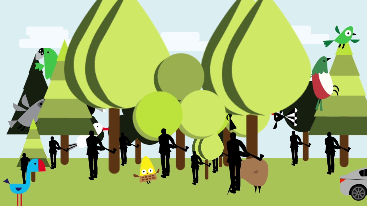 Deforestation Animation - YouTube