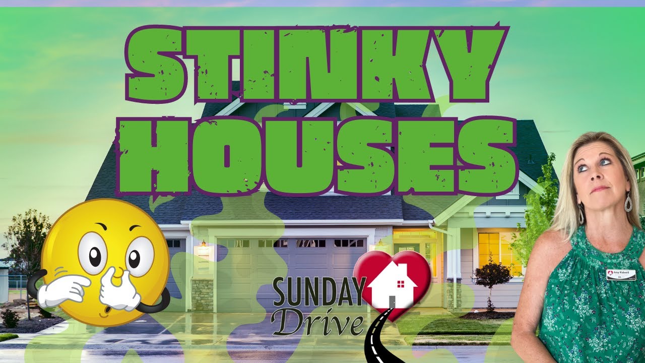 Stinky Houses | Listing Mistakes | Sunday Drive | Disney's Backyard ...
