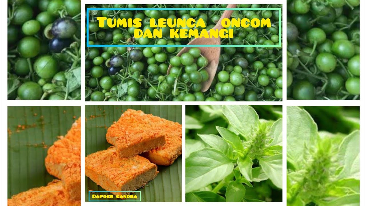 Masak tumis oncom lenca daun kemangi#Masak simple - YouTube