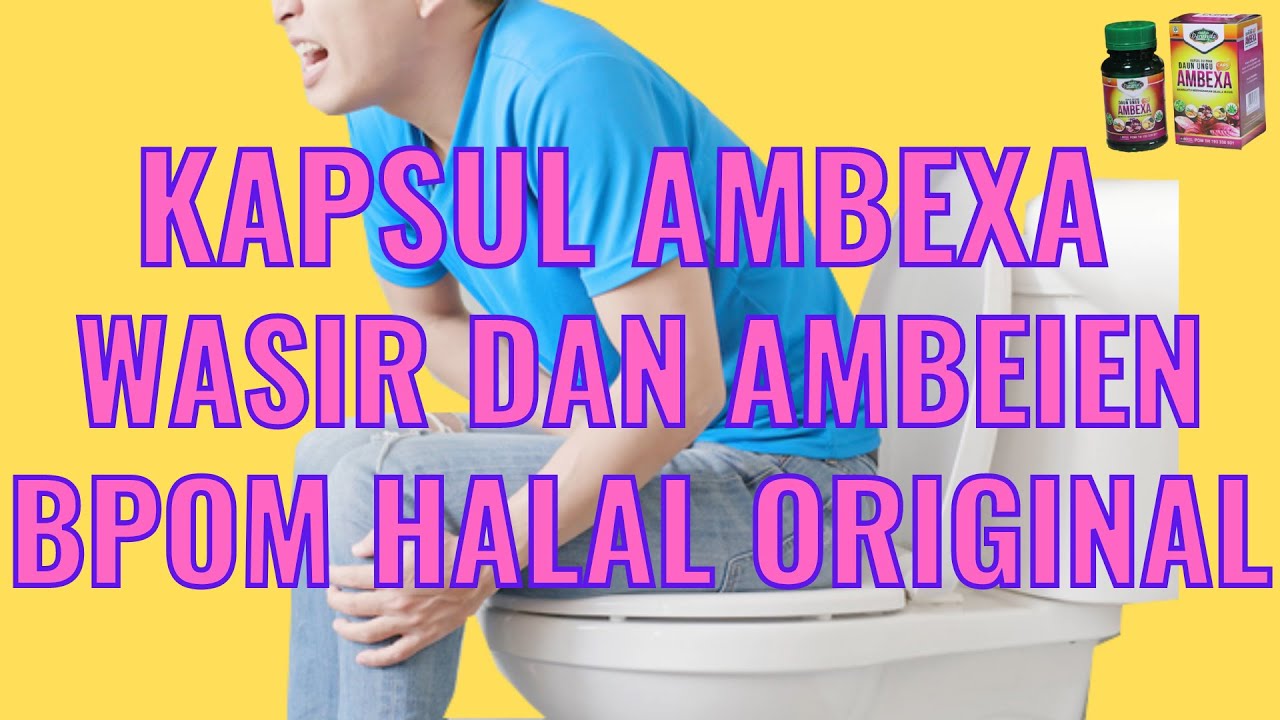 REKOMENDASI OBAT AMBEXA UNTUK WASIR DAN AMBEIEN DAUN UNGU 60 KAPSUL ...
