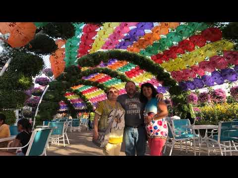 Zoya Dubai Tour 1 Dubai