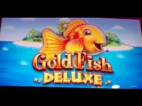 NEW! Gold Fish Deluxe Slot Machine- Live Play-Bonuses - YouTube