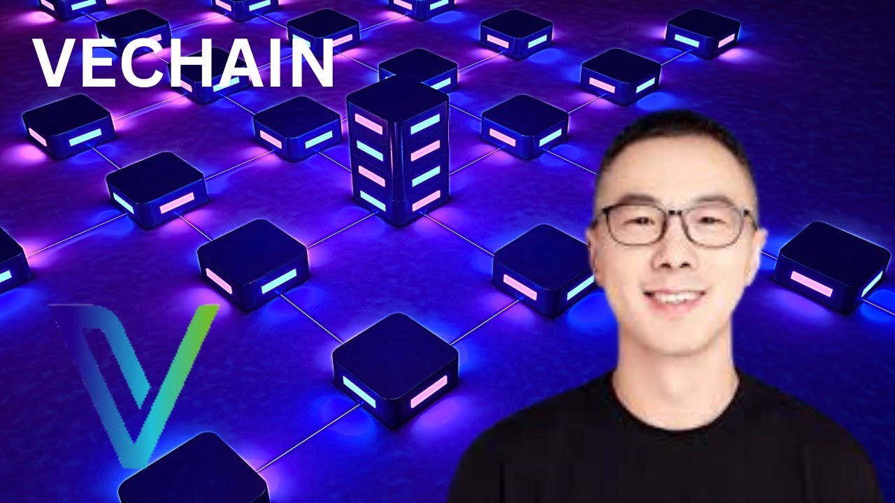 Unlocking The Potential: Vechain Ceo Reveals Game-changing Use Case ...