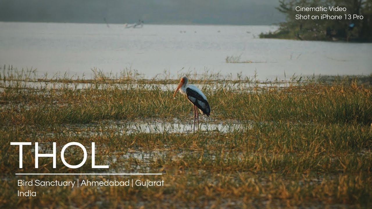 Thol - Bird Sanctuary | Cinematic Video | Shot on iPhone 13 Pro | - YouTube