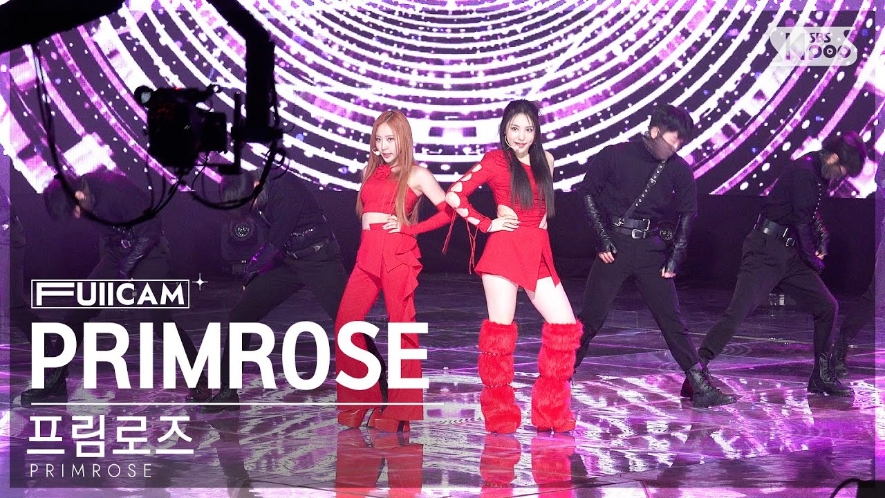 PRIMROSE Rankings, Wiki & Latest Trends【KPOP JUICE!!】