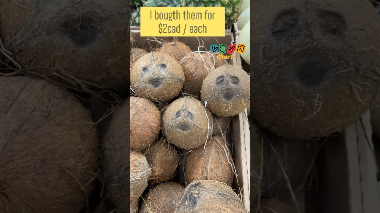 Trio coconuts cute smile faces / coconut fruit #shorts $2cad each - YouTube