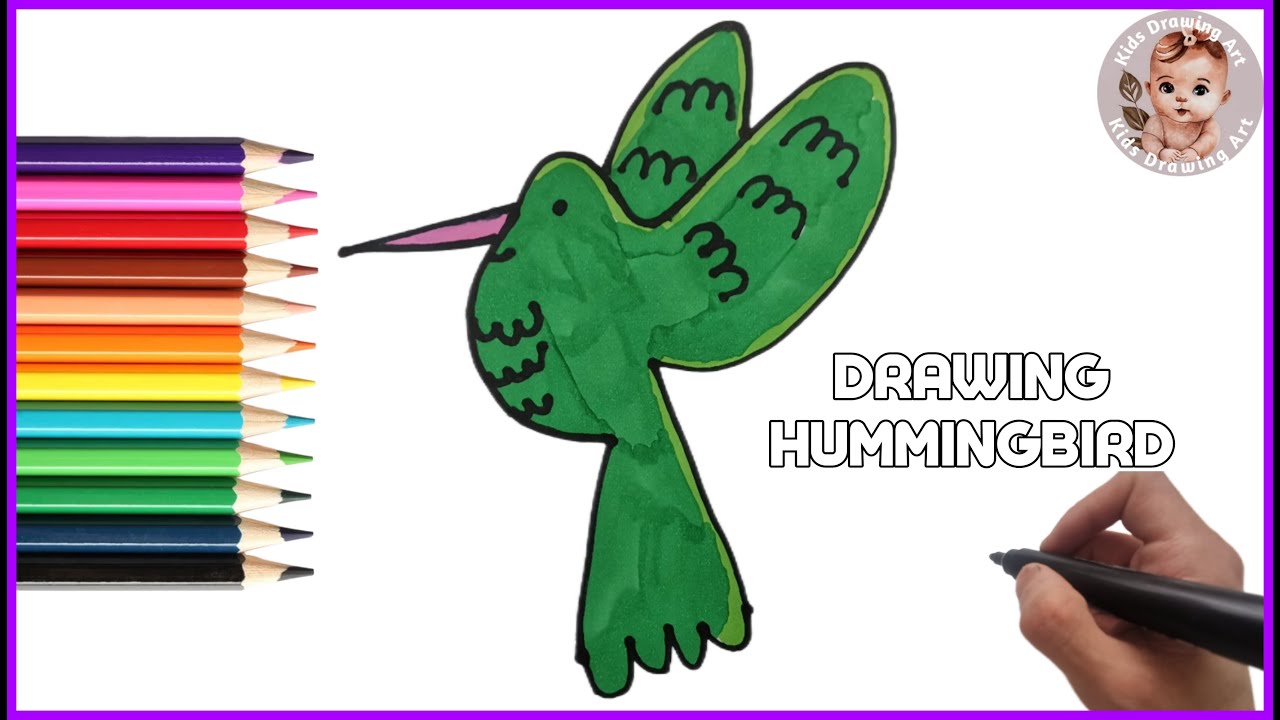 How To Draw Hummingbird | Drawing Hummingbird (Step By Step) - YouTube