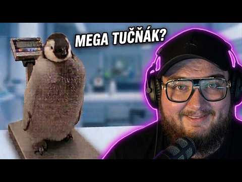 FATTY OBJEVUJE SVĚT FASCINUJÍCÍCH ZVÍŘAT 🤩