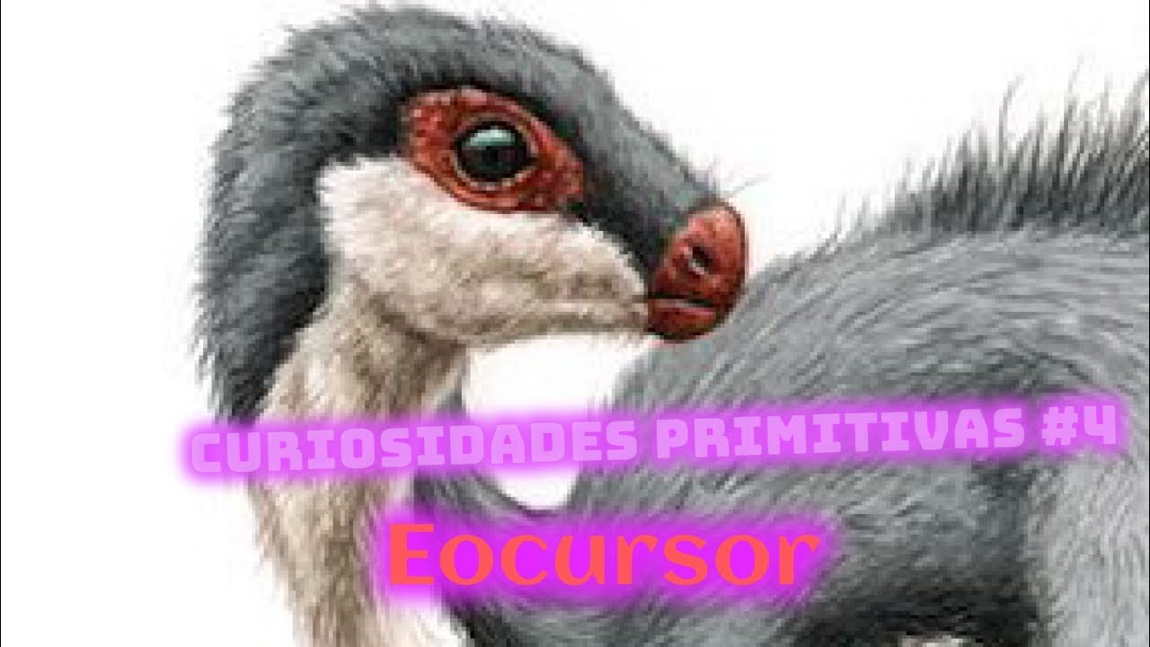 Curiosidades primitivas #4- Eocursor - YouTube