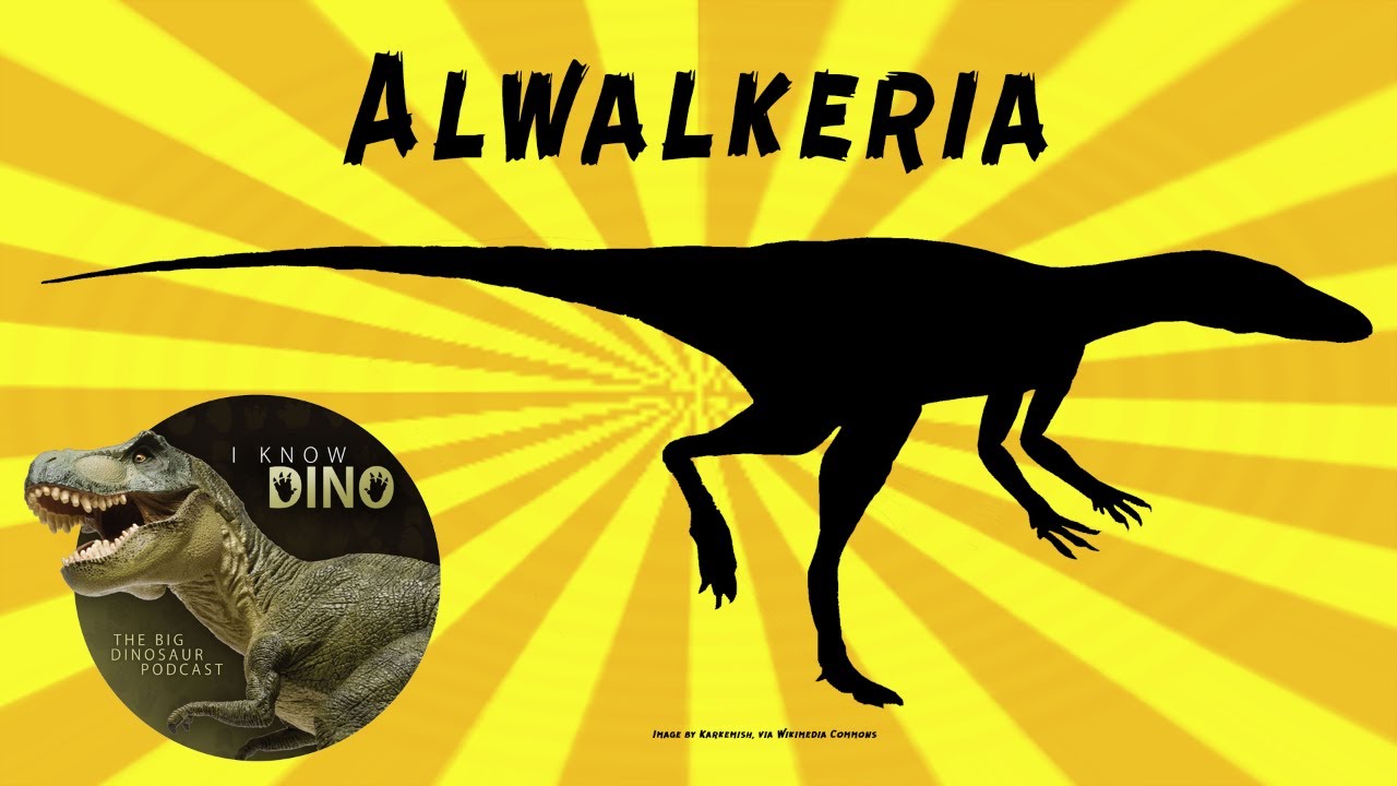 Alwalkeria: Dinosaur of the Day - YouTube