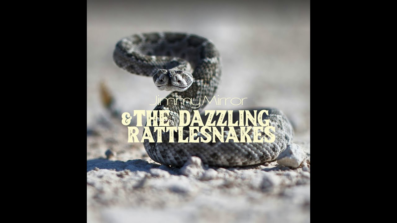Jimmy Mirror & The Dazzling Rattlesnakes - The Dazzling Rattlesnake ...