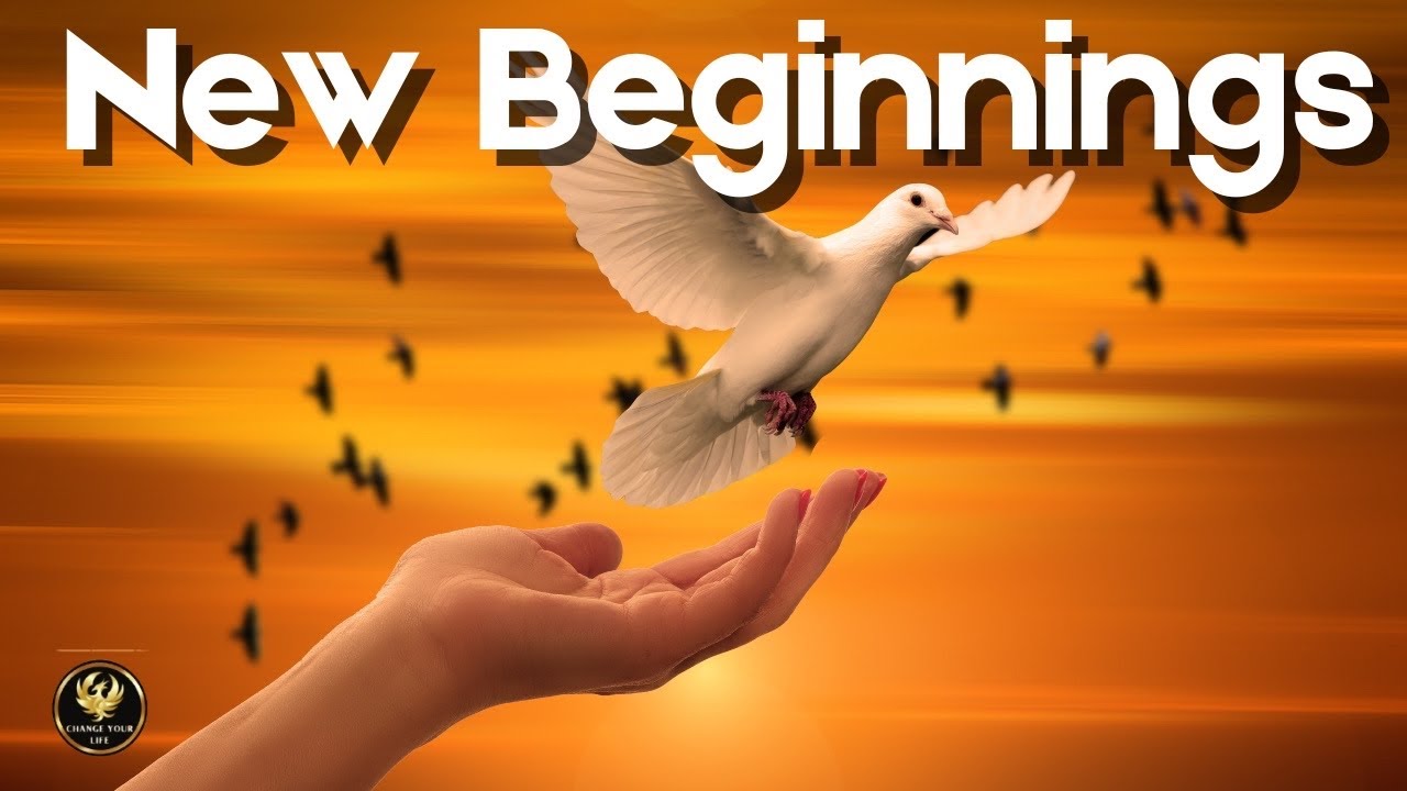 Embracing Your New Chapter After Spiritual Awakening: A Journey of ...