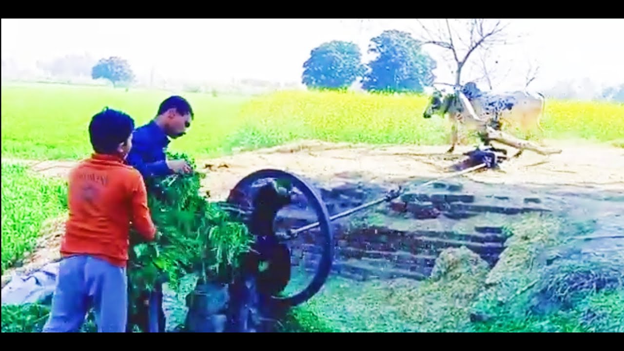 Old Gear Toka Machine working | Chaff Cutter Machine - YouTube