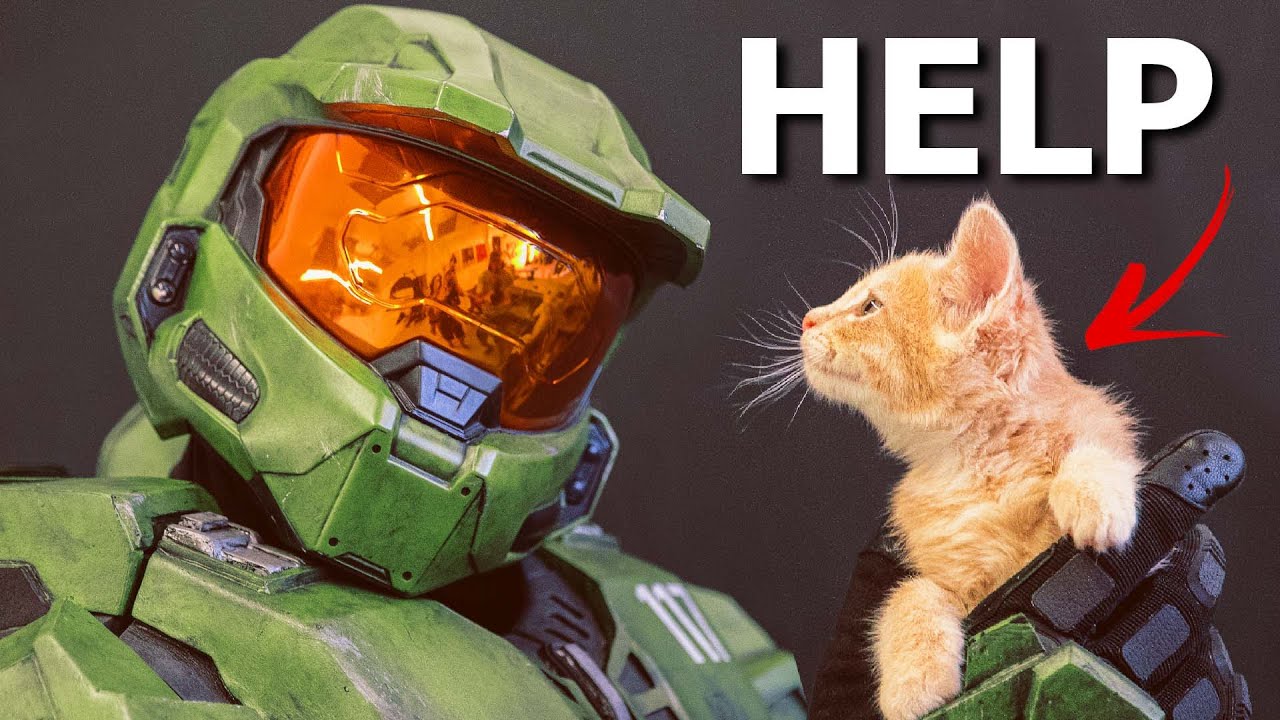 Master Chief Saves The WORLD - One Kitten At A Time! - YouTube