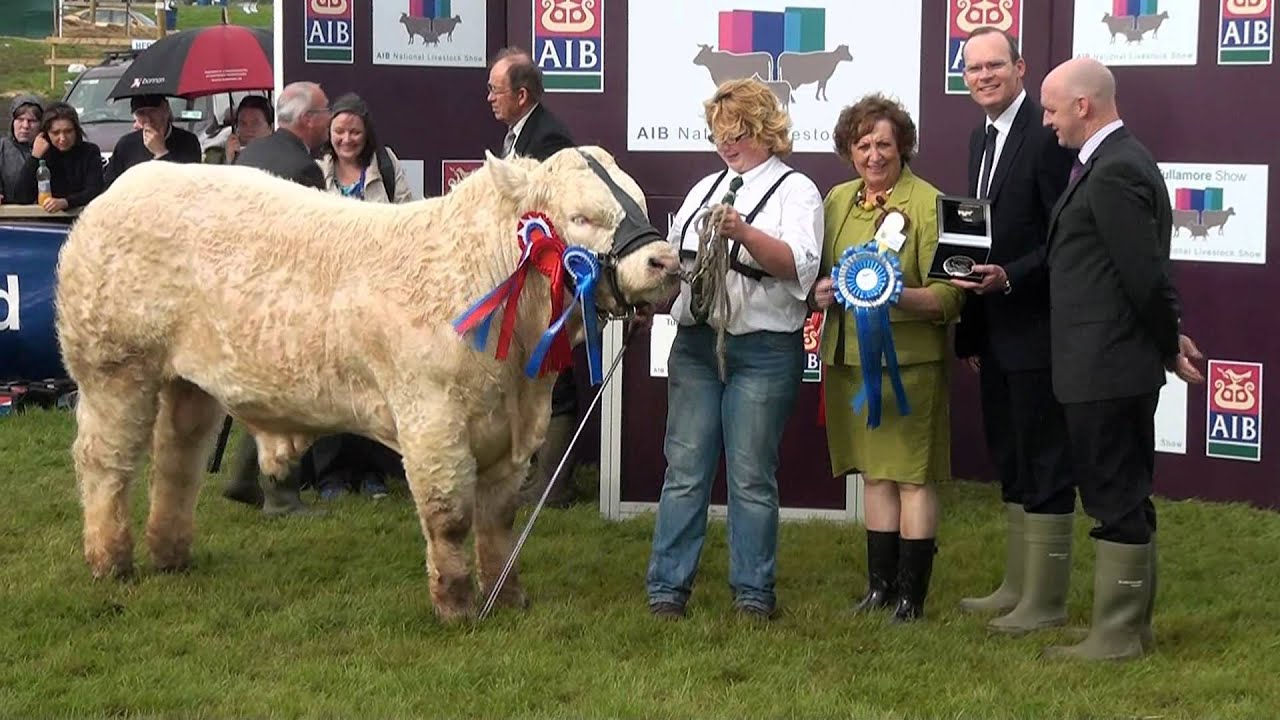 Tullamore Show Cattle Championships Presentation - YouTube