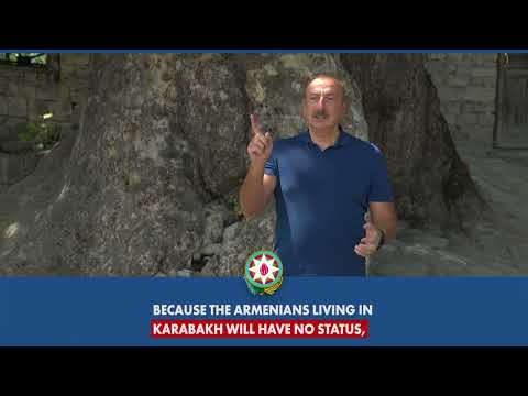 The Armenians living in Karabakh will have no status