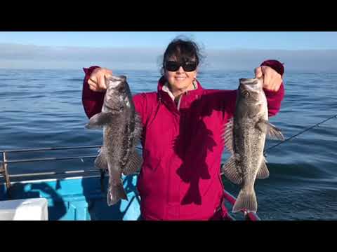 Bottom fishing Newport Oregon - YouTube